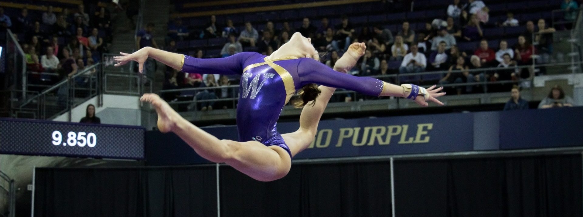 Gymnastics Photography for the University of Washington - Susie Butler